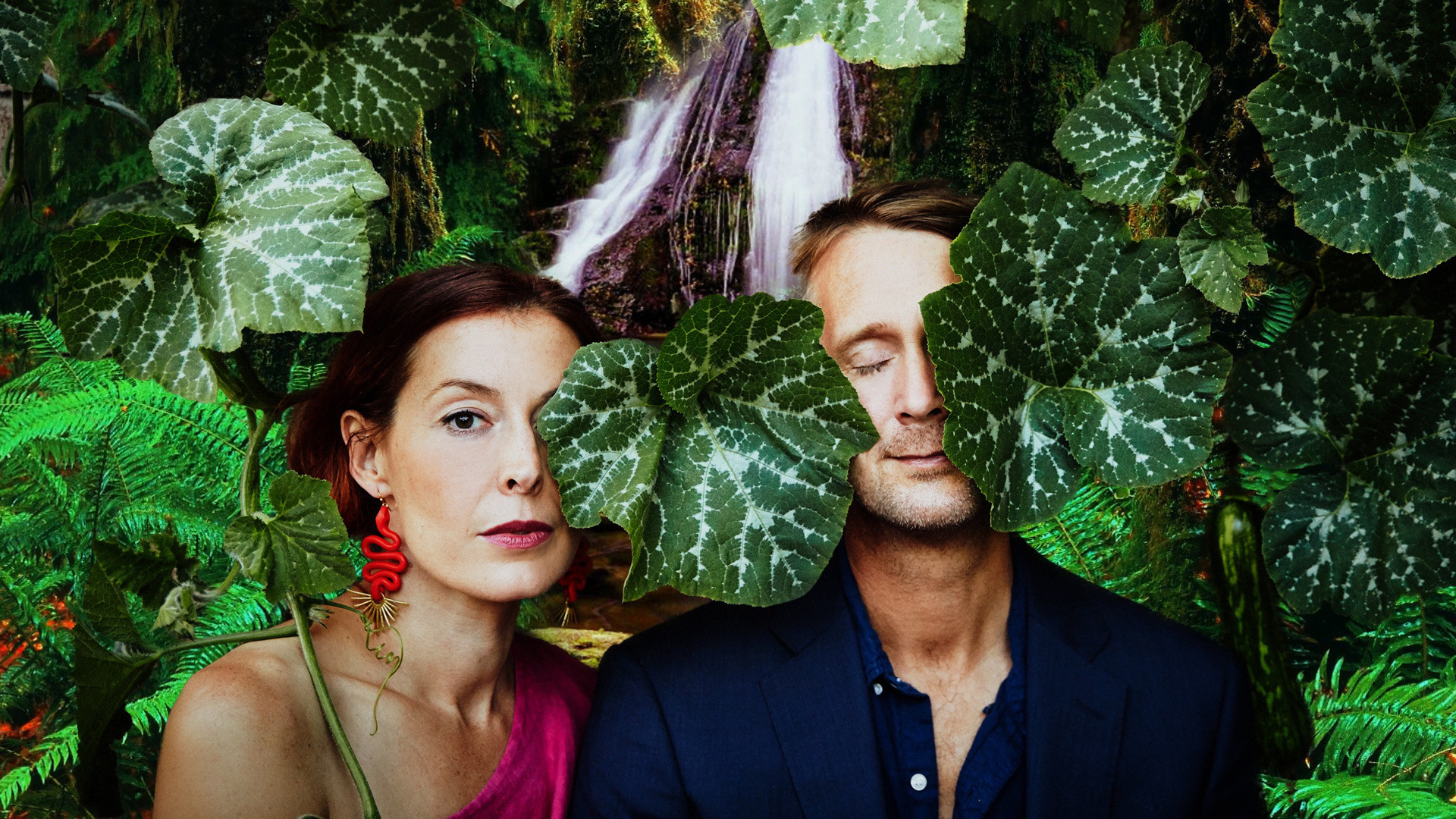 The Forcefields - 'Lion Tamer' Single Premiere