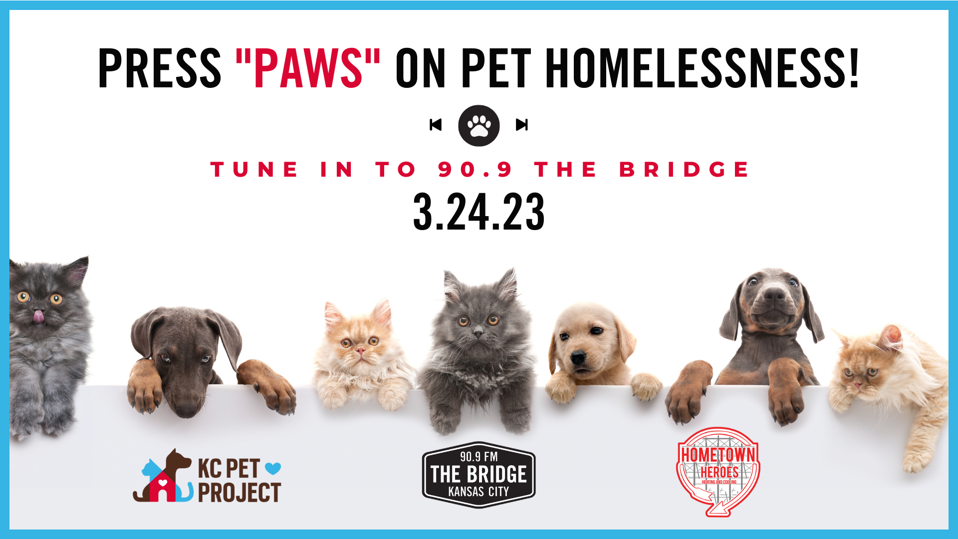 Help The Bridge Press 'Paws' on Pet Homelessness!
